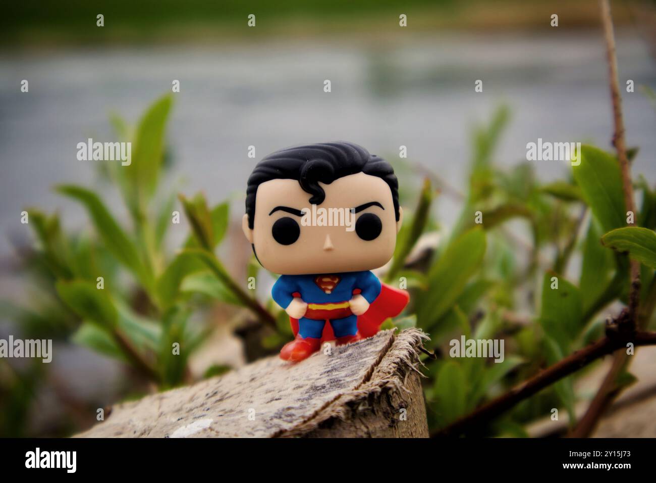 Superman figure standing pose on a cutted tree Stock Photo - Alamy