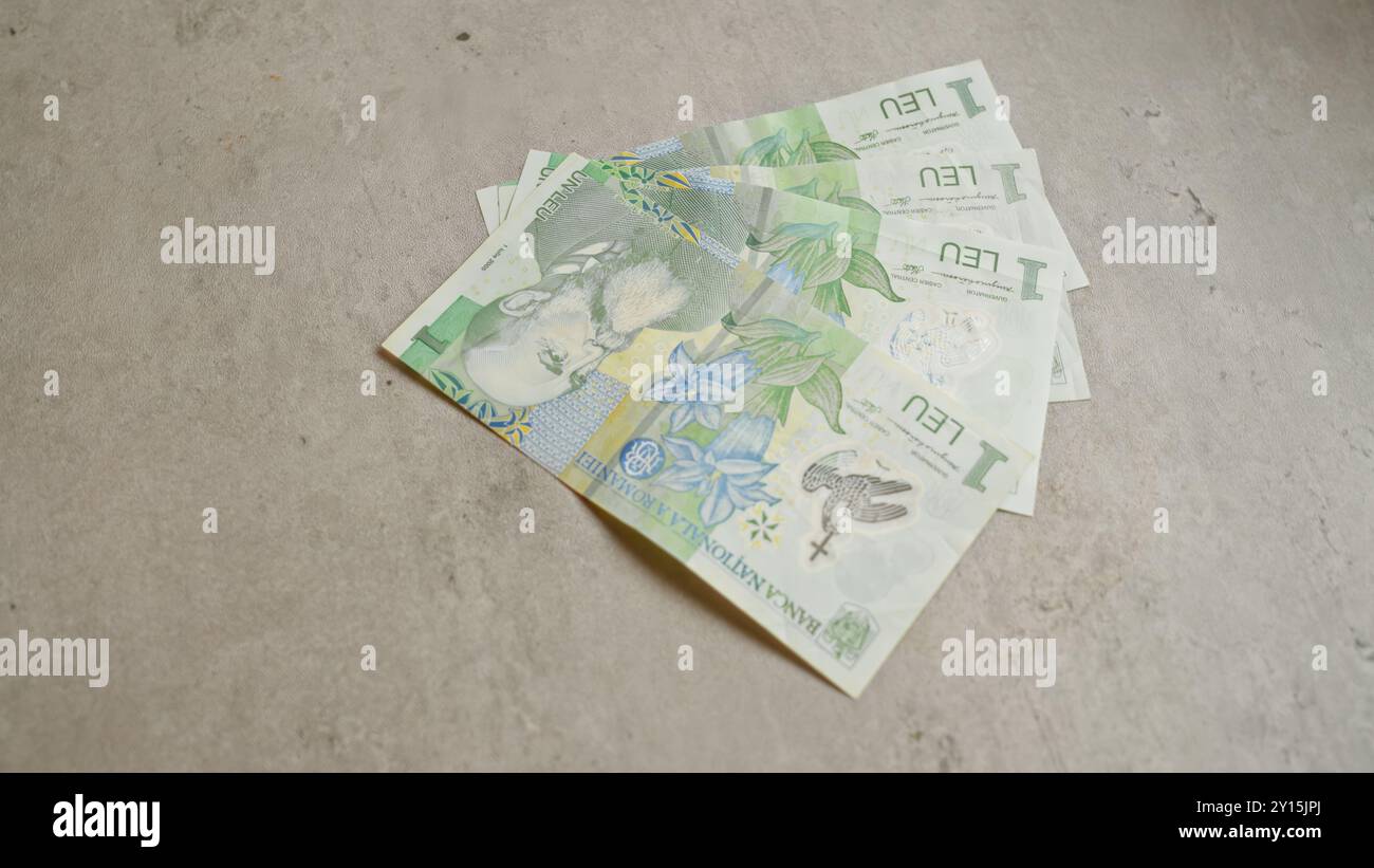 Romanian banknotes in denominations of one leu are spread out on a ...
