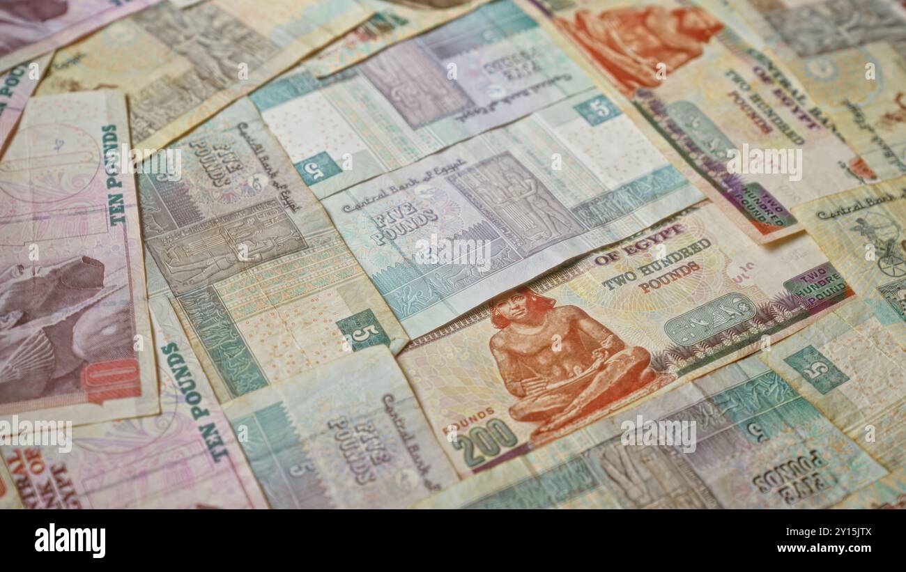 Egyptian banknotes spread out showing various denominations including ...