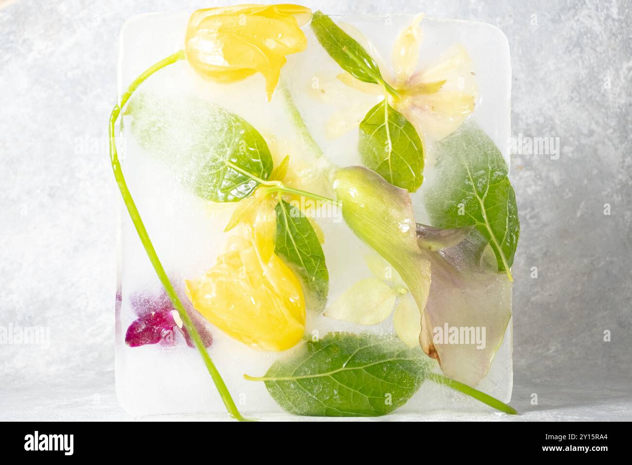 Frozen flowers for drinks hi-res stock photography and images - Alamy