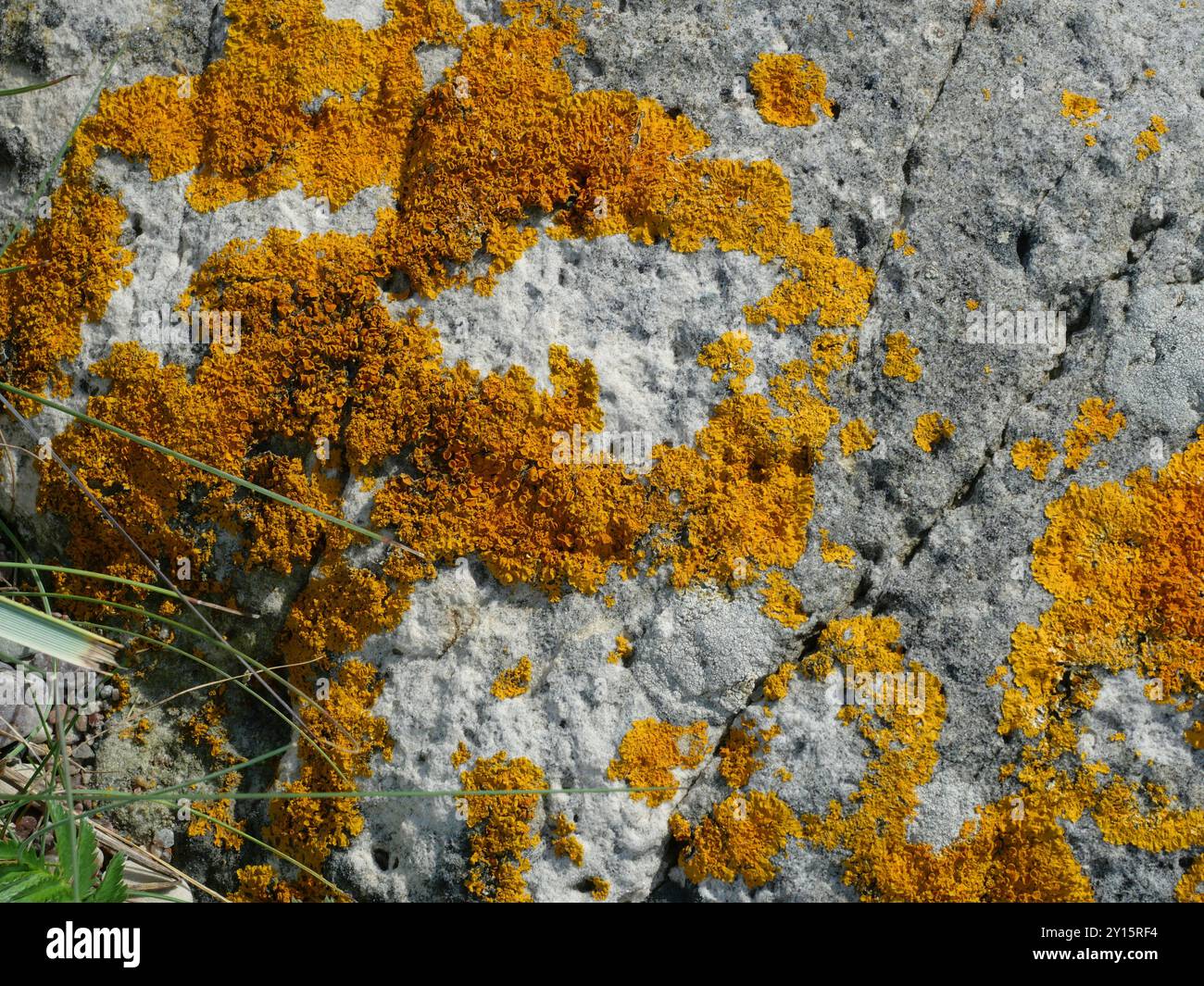 Providing classification hi-res stock photography and images - Alamy