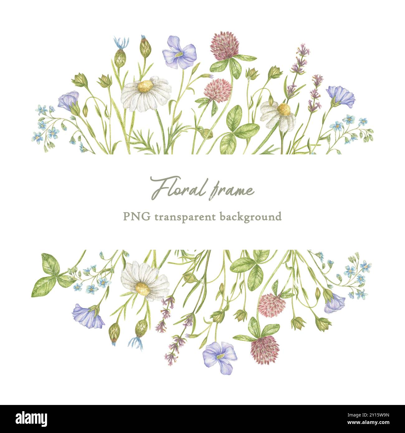 Wildflowers Frame Png