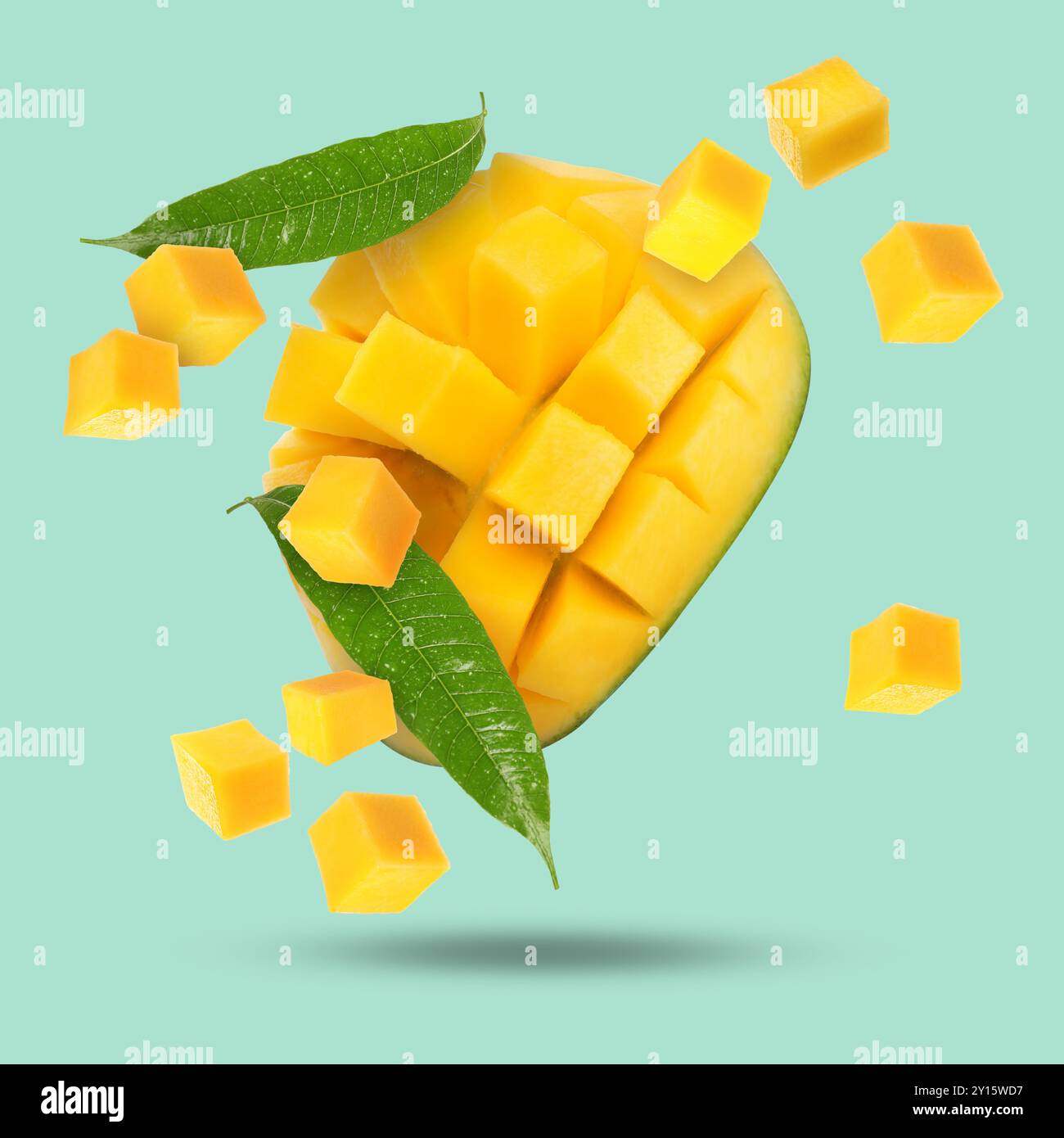 Sweet fresh mango cut in cubes falling on turquoise background Stock ...