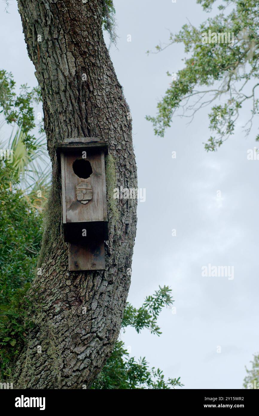 Close up vertical Shot of wood bird house on right side attached to a ...