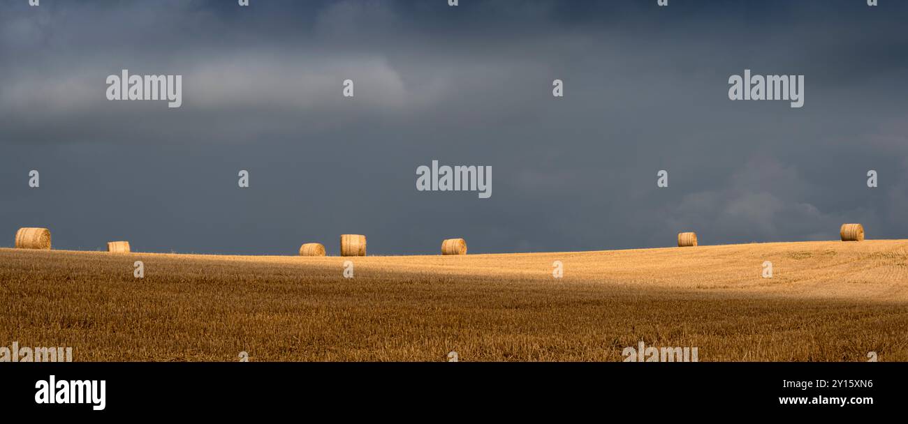 Hay 2024 hi-res stock photography and images - Alamy