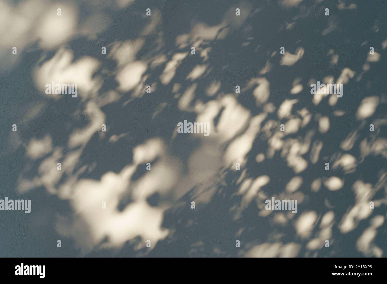 Shadow of a tree on the wall. Swaying shadows of leaves on a white ...