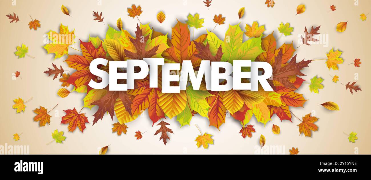 Autumn Foliage Explosion Centre September Autumn foliage on the white ...