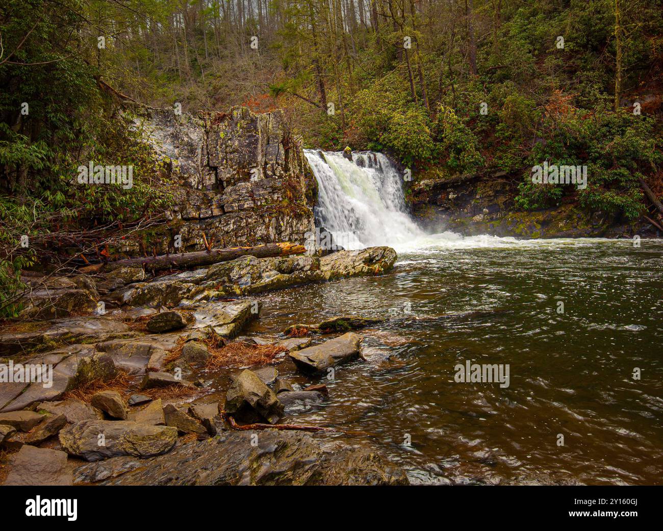Abraham falls, Great Smoky Mountains National Park Stock Photo - Alamy