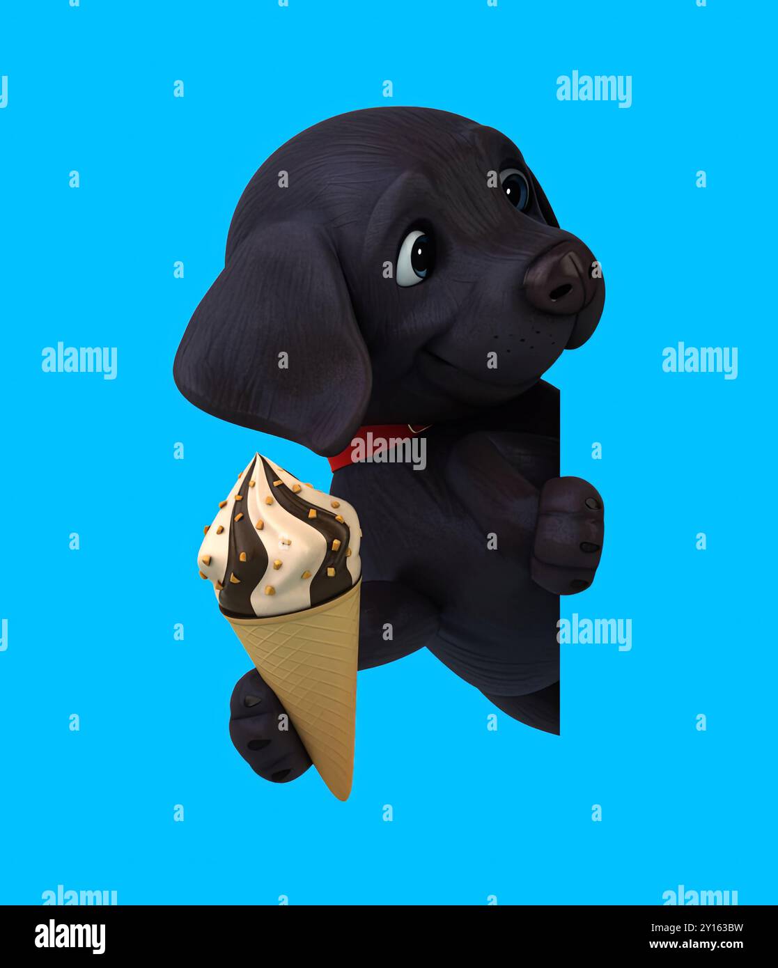 Vanilla labrador hi-res stock photography and images - Alamy