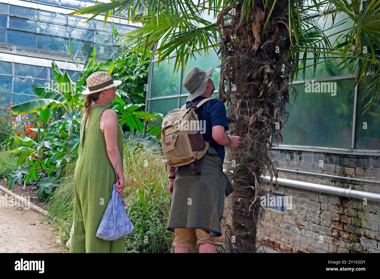 Two people examining bark on tropical palm tree by glasshouse plants in ...