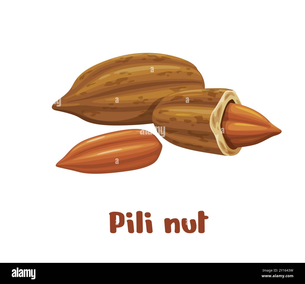 Philippine shell Stock Vector Images - Alamy