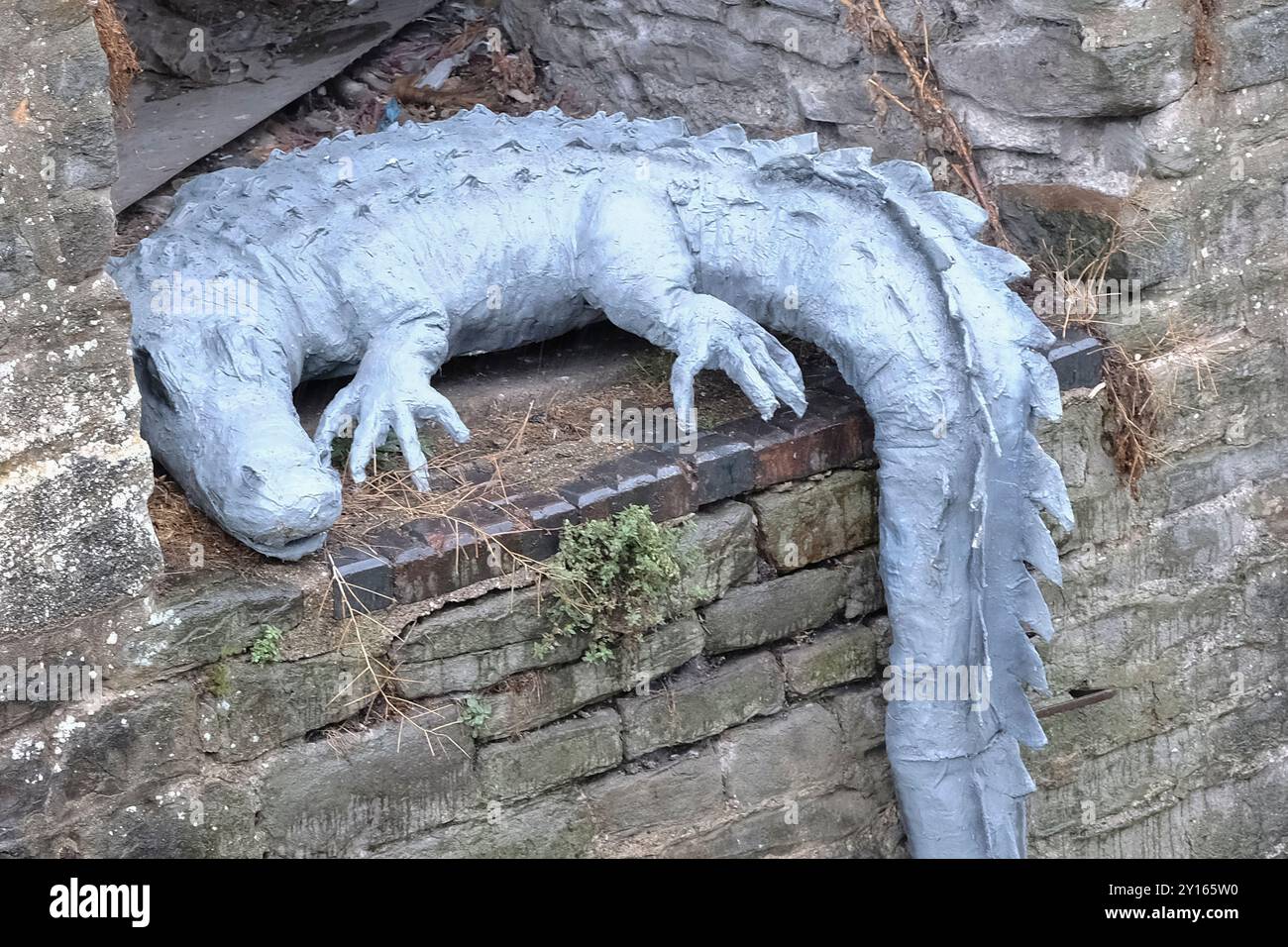 Bristol, UK. 5th Sep, 2024. A Crocodile sculpture has been spotted in a ...