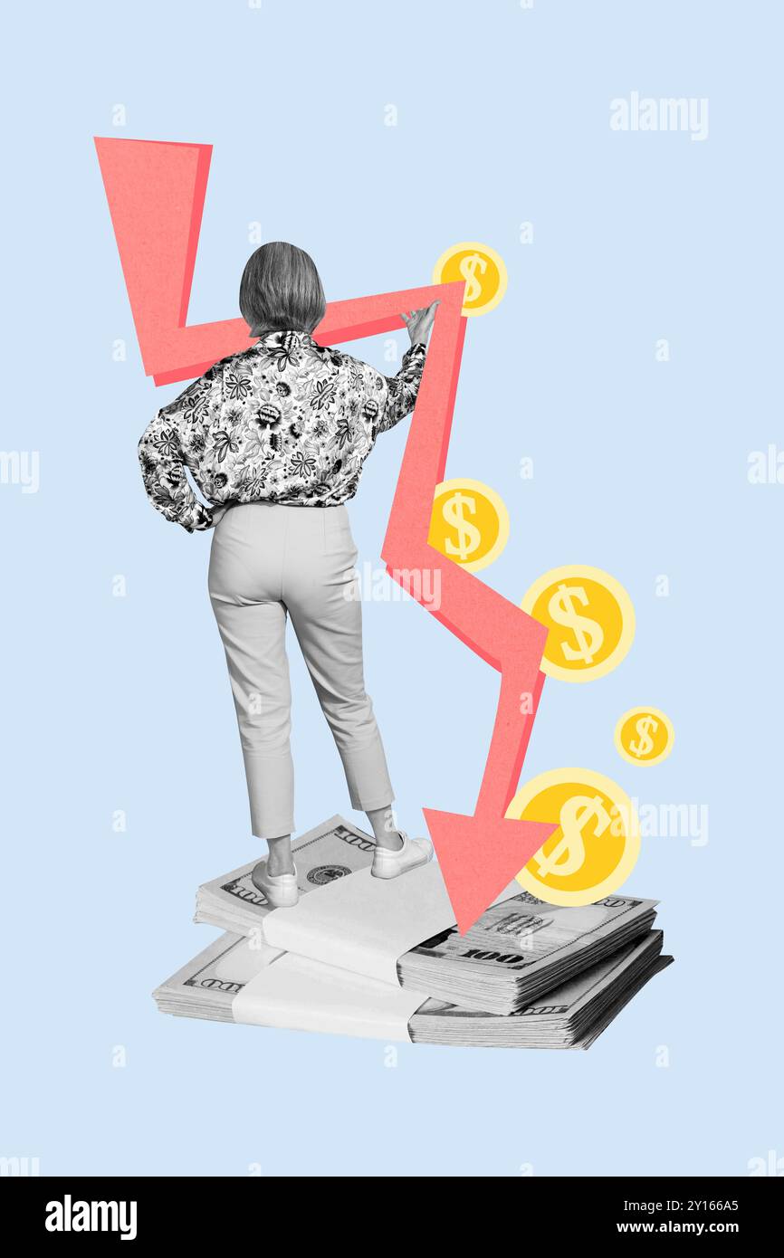 Vertical collage poster mature woman arrow recession downfall banknotes ...