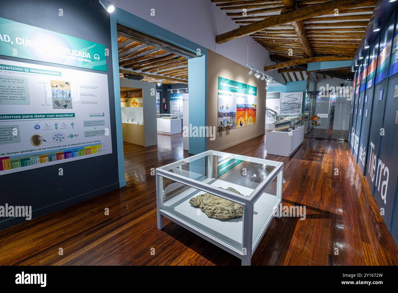 Prejanopterus hi-res stock photography and images - Alamy