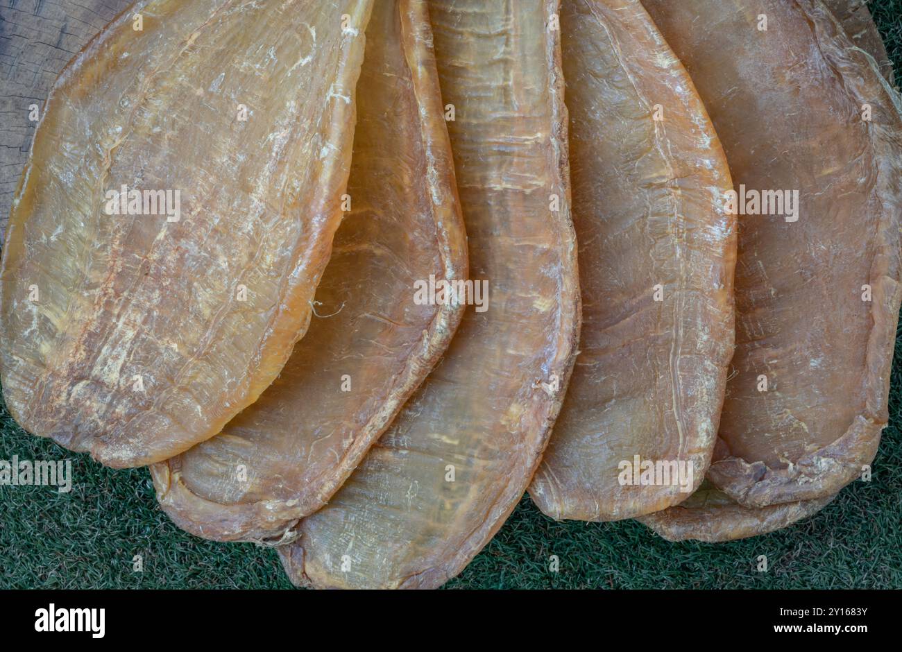 Detail of Fish Maw Soup or Dried Fish Stomach (Dried Fish Bladder ...