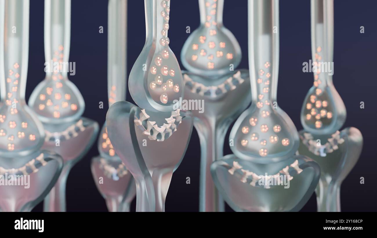 Muscarinic Acetylcholine receptors, muscle fiber sarcolemma ...
