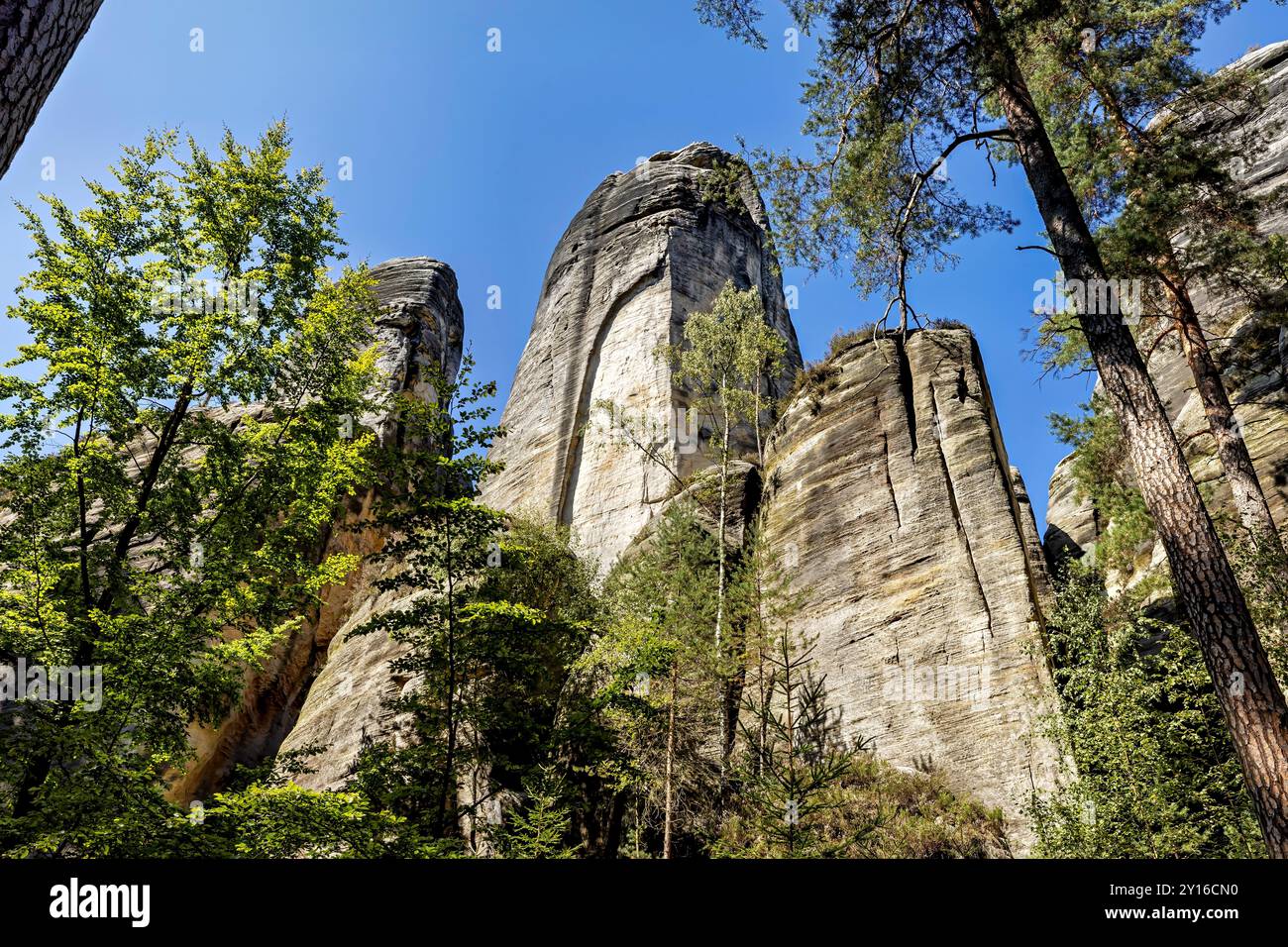 The rock town of Adrspach Weckelsdorf in the Braunau Mountains Stock ...