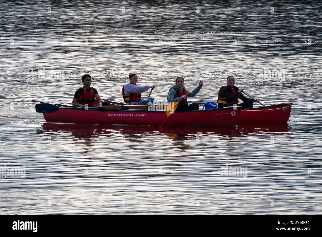 Paddling a canoe hi-res stock photography and images - Alamy