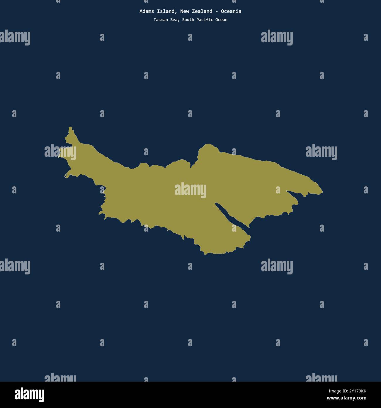 Shape of Adams Island in the Tasman Sea, belonging to New Zealand Stock ...