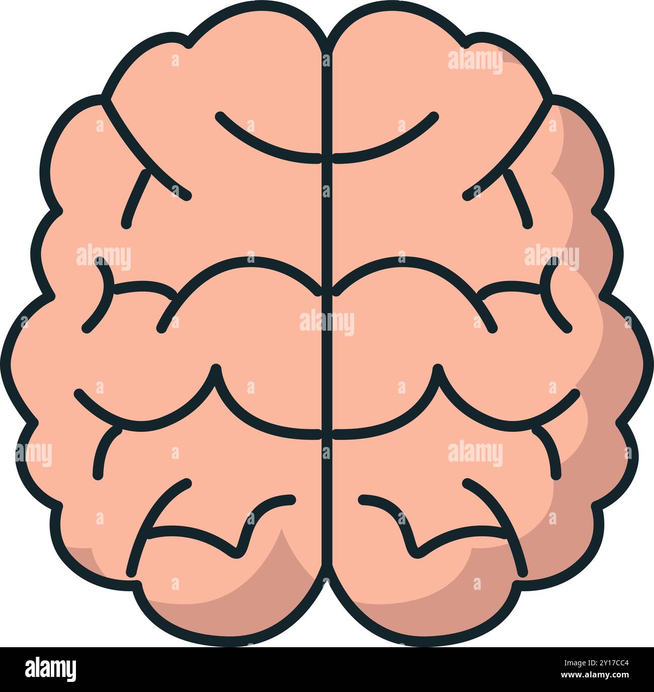 Illustration human brain showing Cut Out Stock Images & Pictures - Alamy
