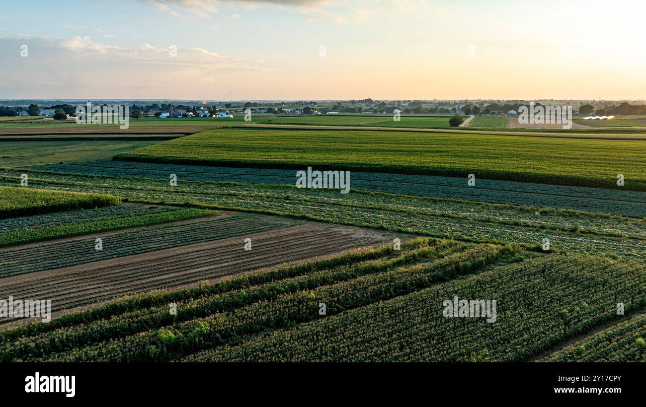 Expansive fields of crops stretch across the landscape, showcasing lush ...