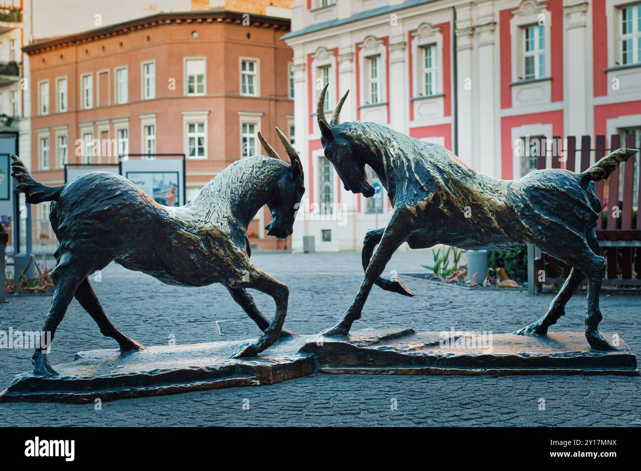 Pozna goats hi-res stock photography and images - Alamy