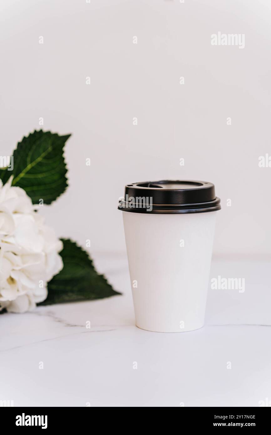 Mockup of Coffee paper cup on white background with white hydrangea ...