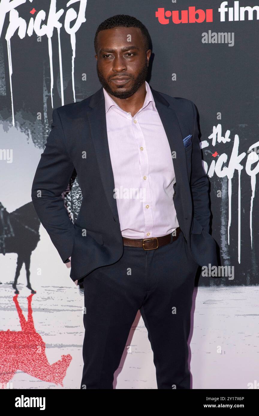 Ani Akpan bei der Weltpremiere des Kinofims 'The Thicket' im AMC The ...