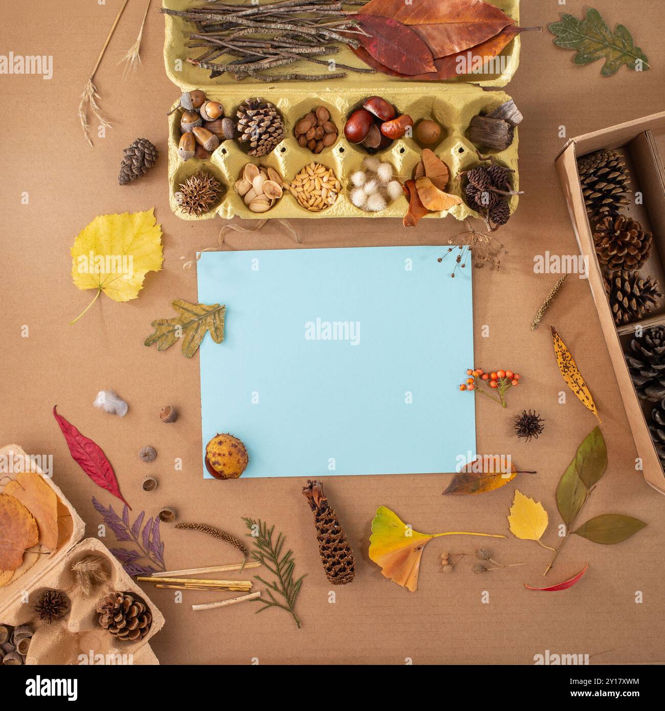 Autumn forest themed assemblage with seeds, leaves, and nature ...