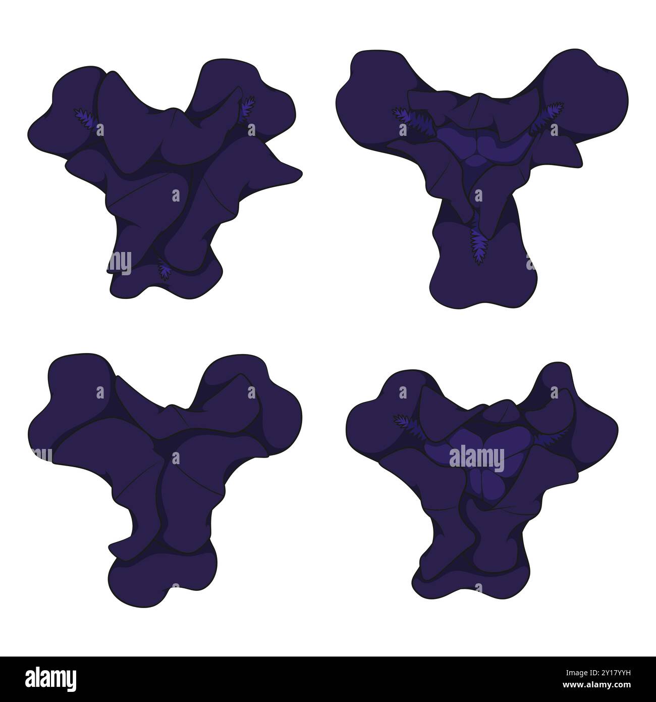 Set of color illustrations with black iris flowers. Isolated vector ...