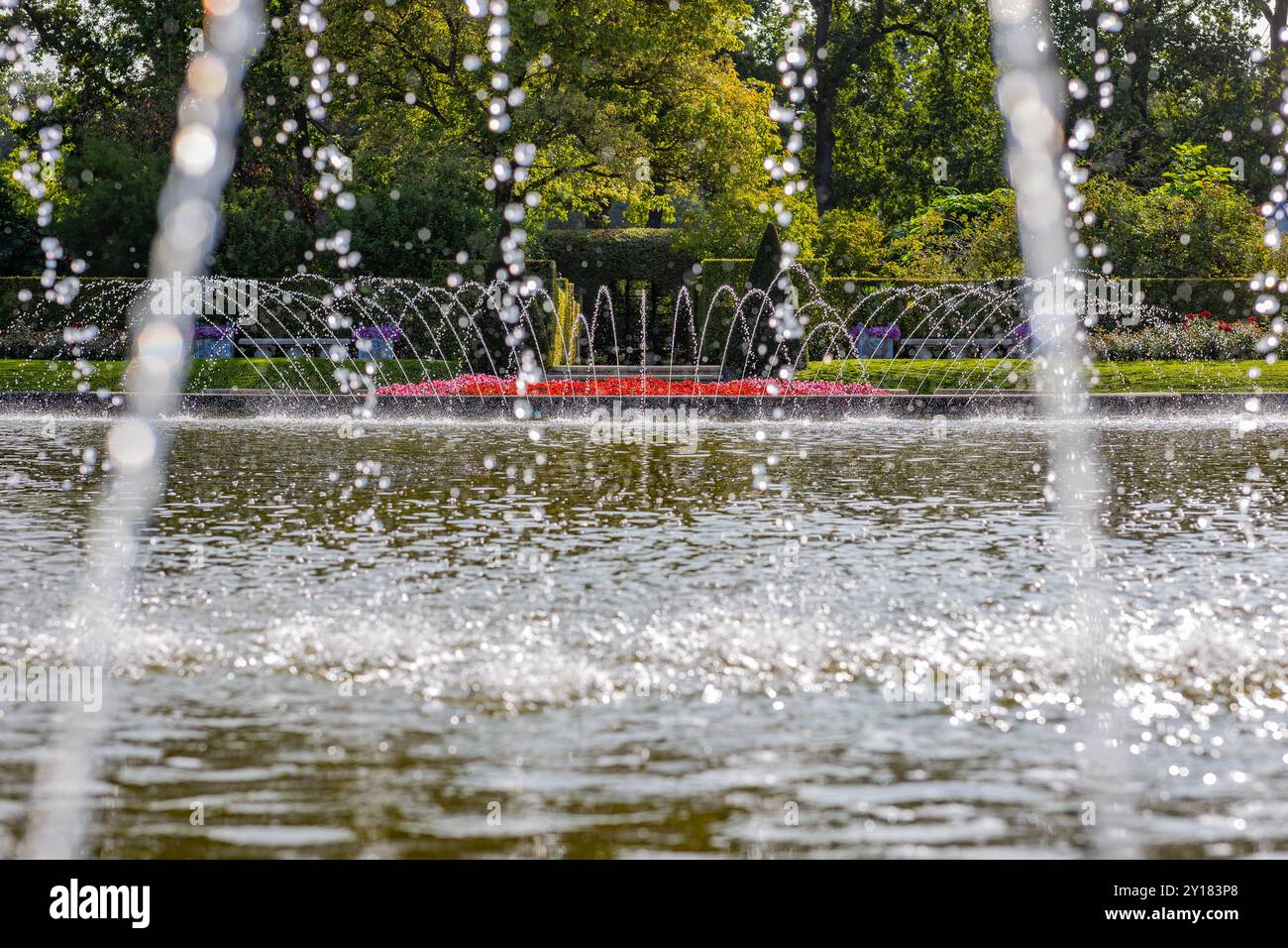 Water jets gushing from fountain and falling into pond, red flowers and ...