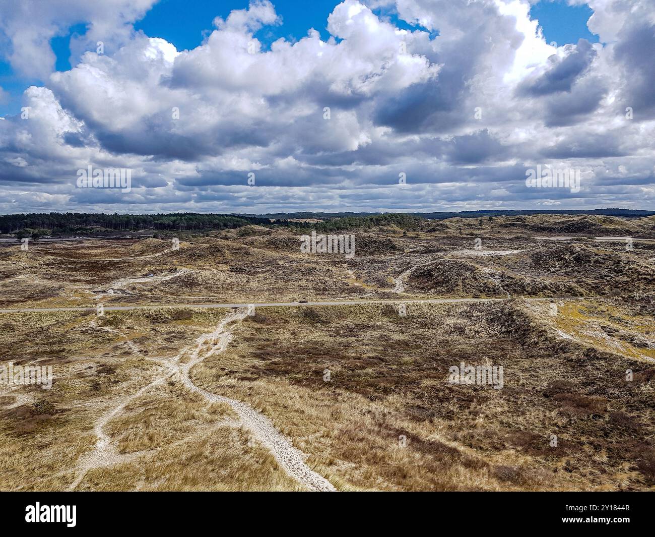Dunes at Schoorlse Duinen in panoramic landscape, trails in sand, dry ...