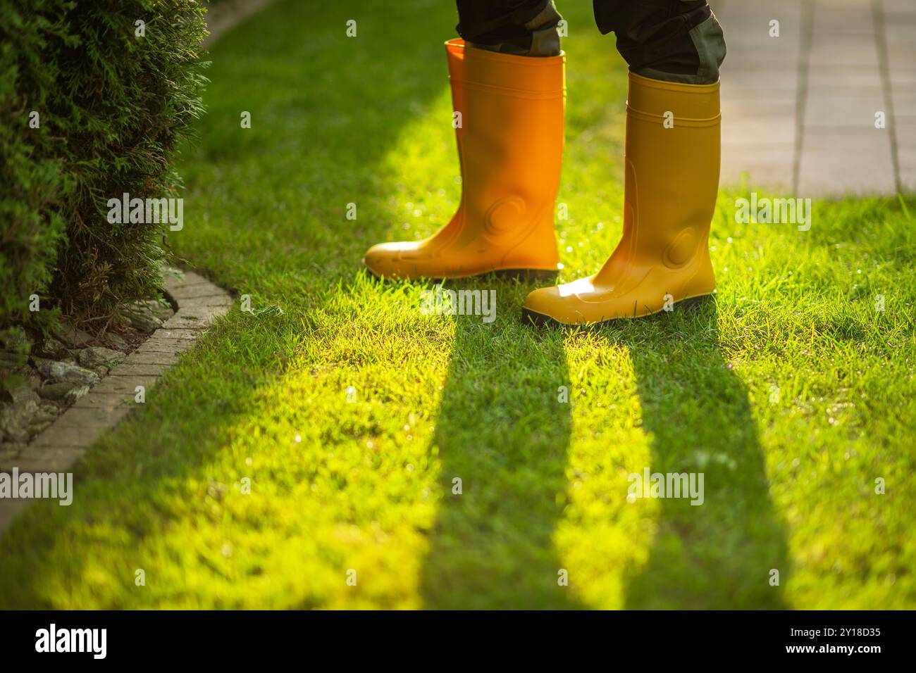 A person wearing bright yellow rubber boots stands on lush green grass ...