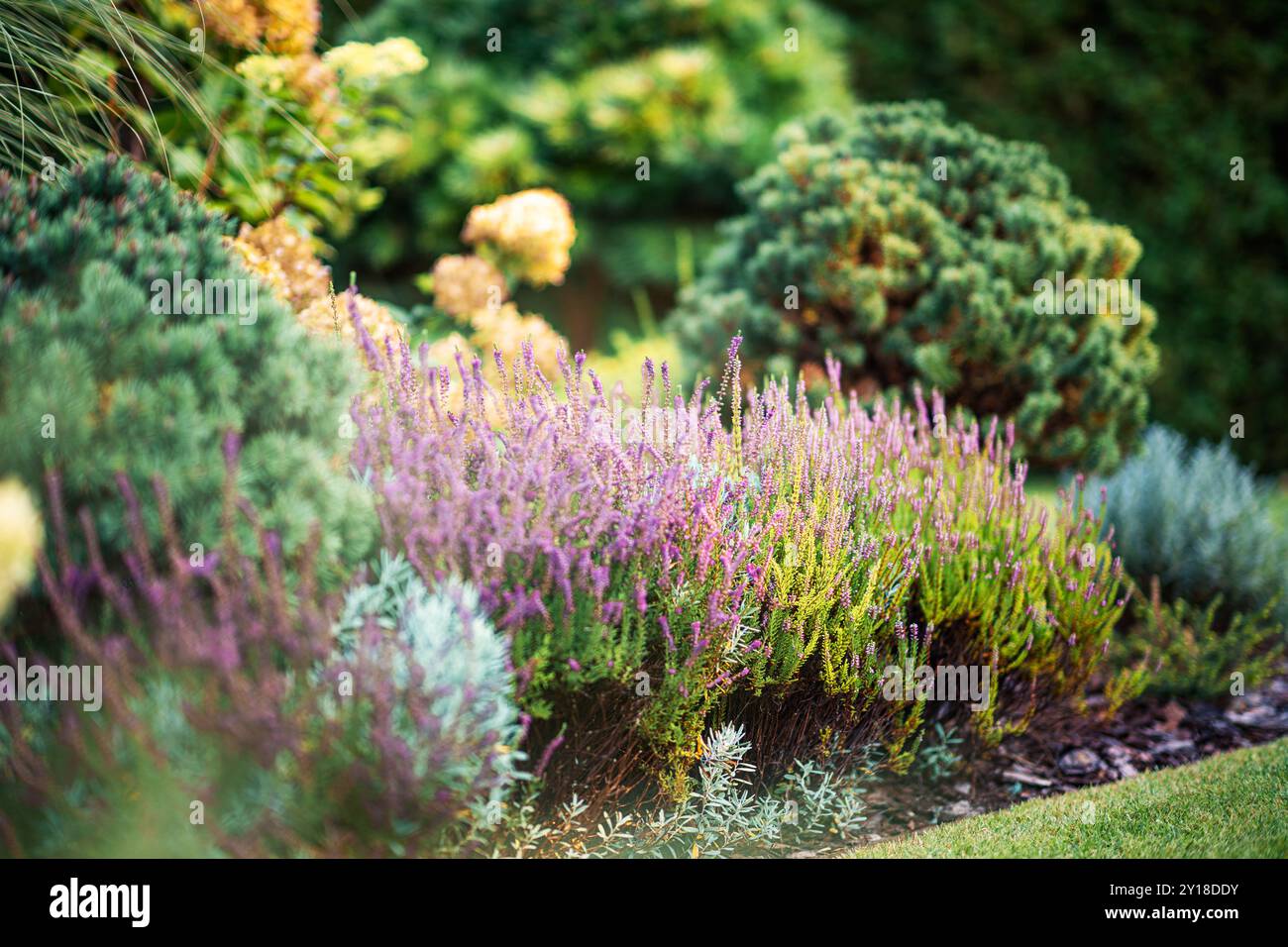 Plants aesthetic features hi-res stock photography and images - Alamy