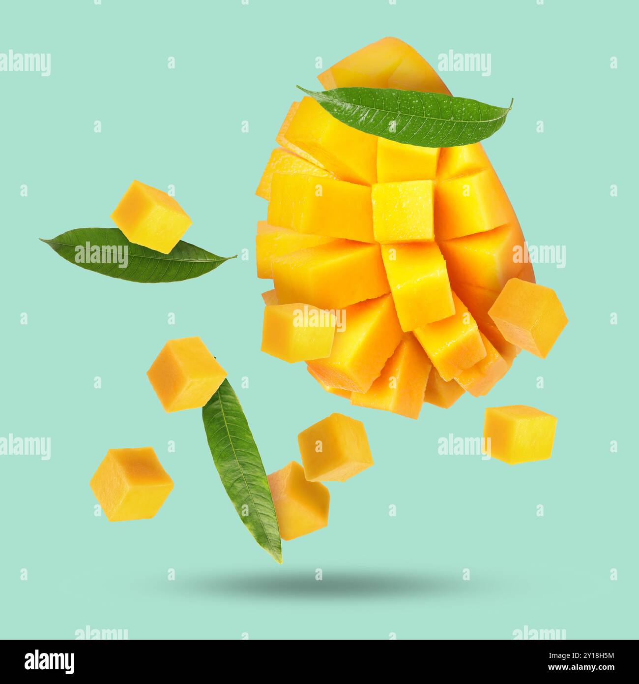 Sweet fresh mango cut in cubes falling on turquoise background Stock ...