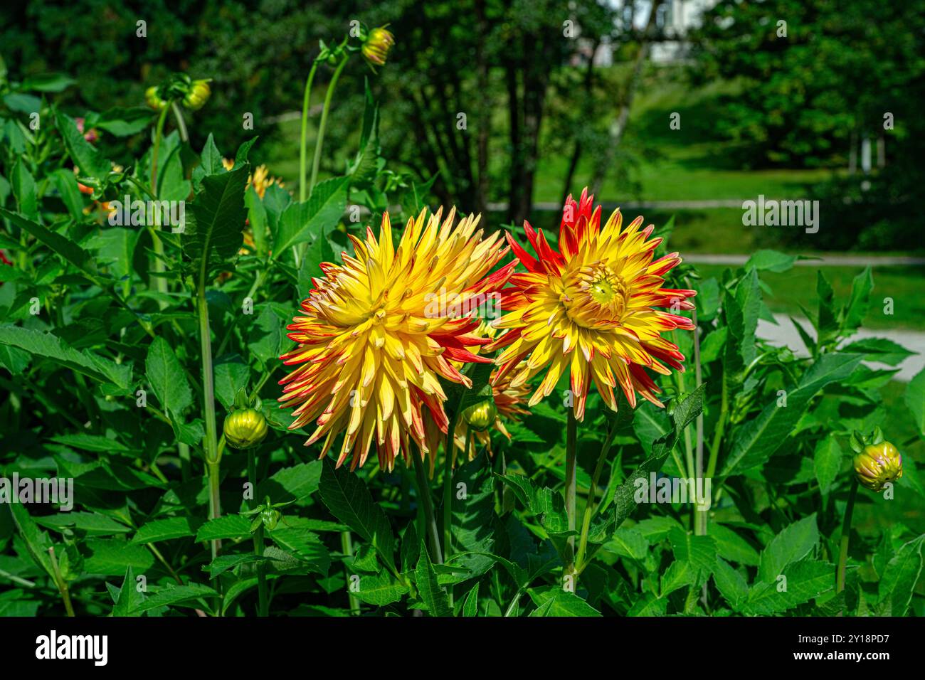 Hapet explosion hi-res stock photography and images - Alamy