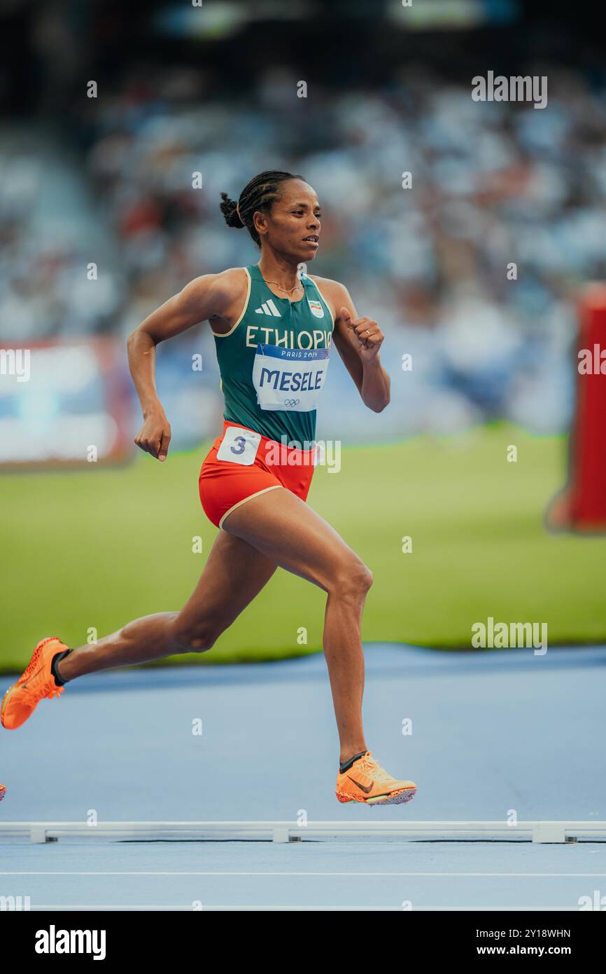 Worknesh Mesele participating in the 800 meters at the Paris 2024 ...
