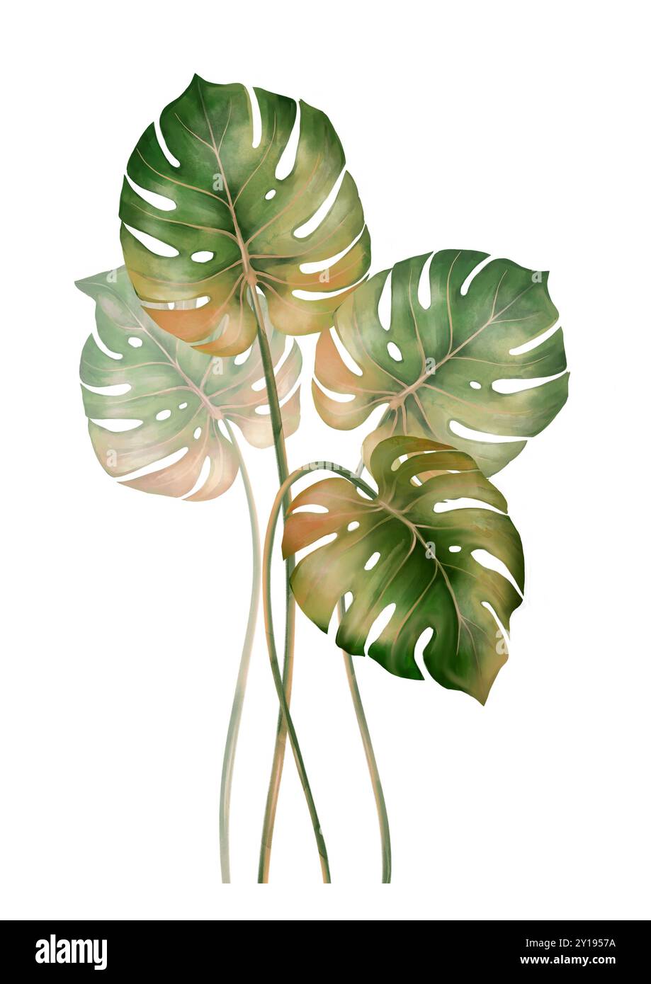 Tropical leaves poster. Exotic monstera branches composition Stock ...