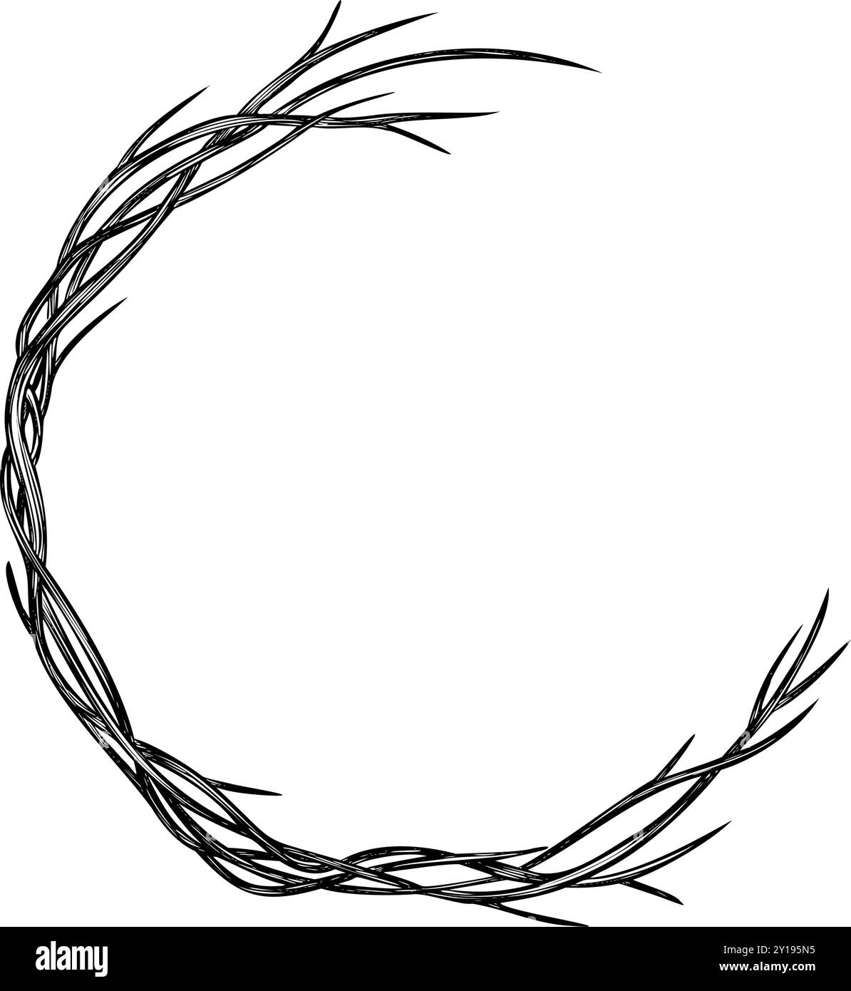 Botanical Wreath with twigs and branches vector illustration. Black ...