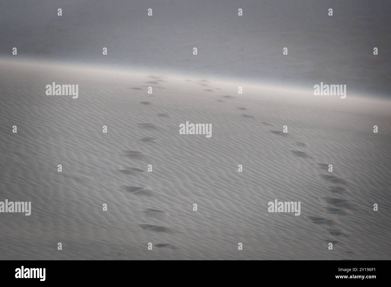 Foot prints disappear with strong winds at White Sands National Park ...