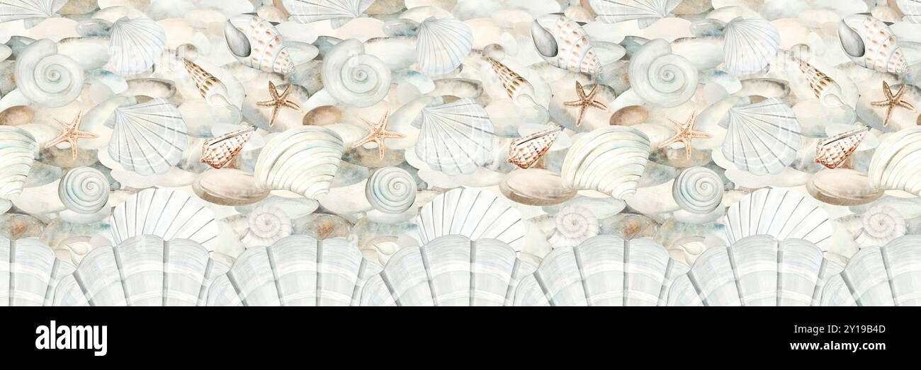 Seashells and starfish. Seamless border and pattern of beige sea shells ...