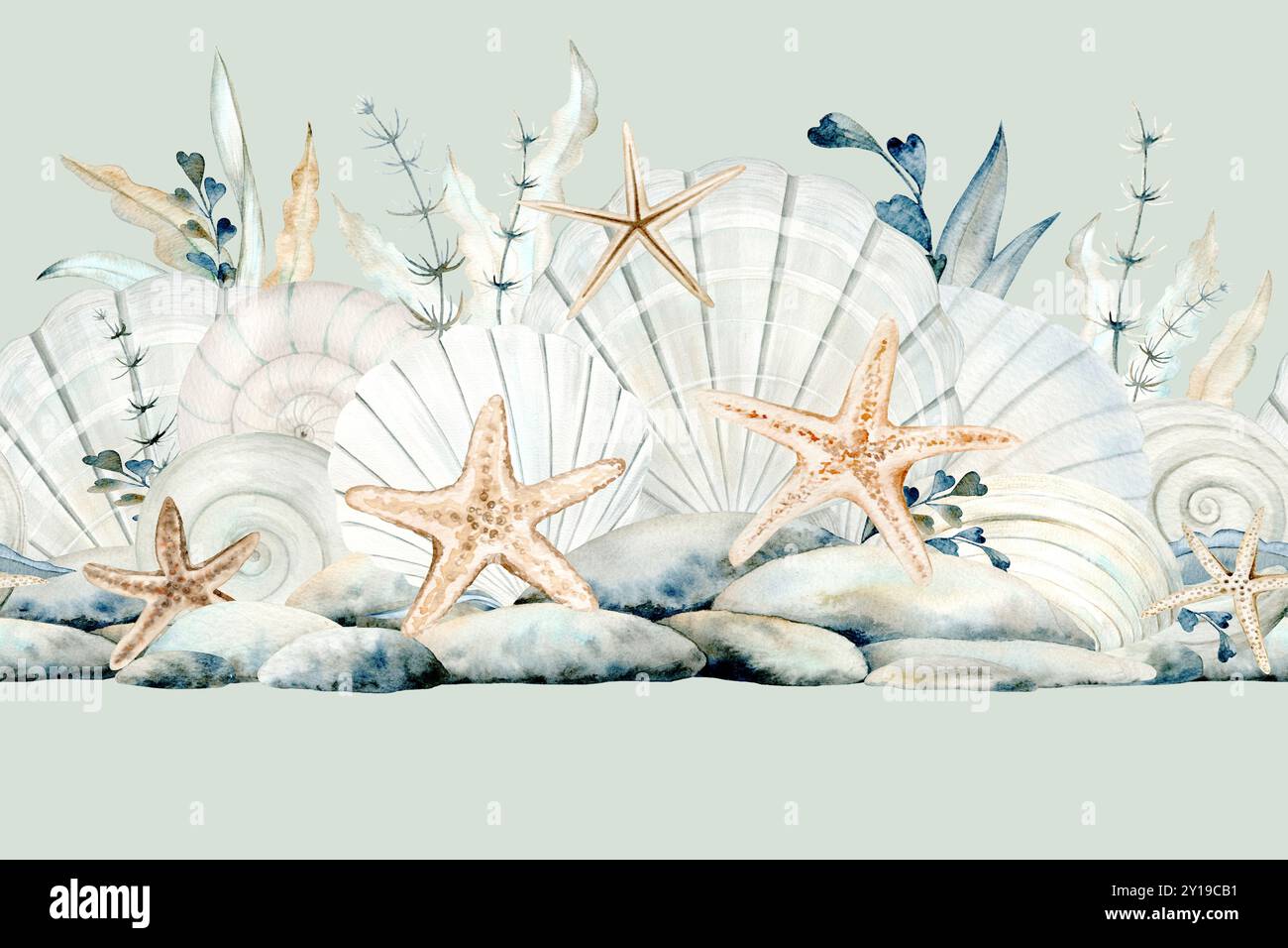 Sea Shells. Seamless pattern and border of beige sea shells, stars and ...