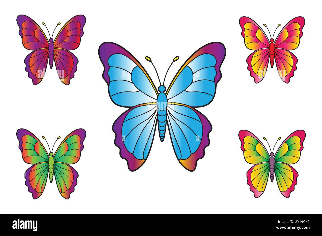 Colourful wing patterns Stock Vector Images - Alamy