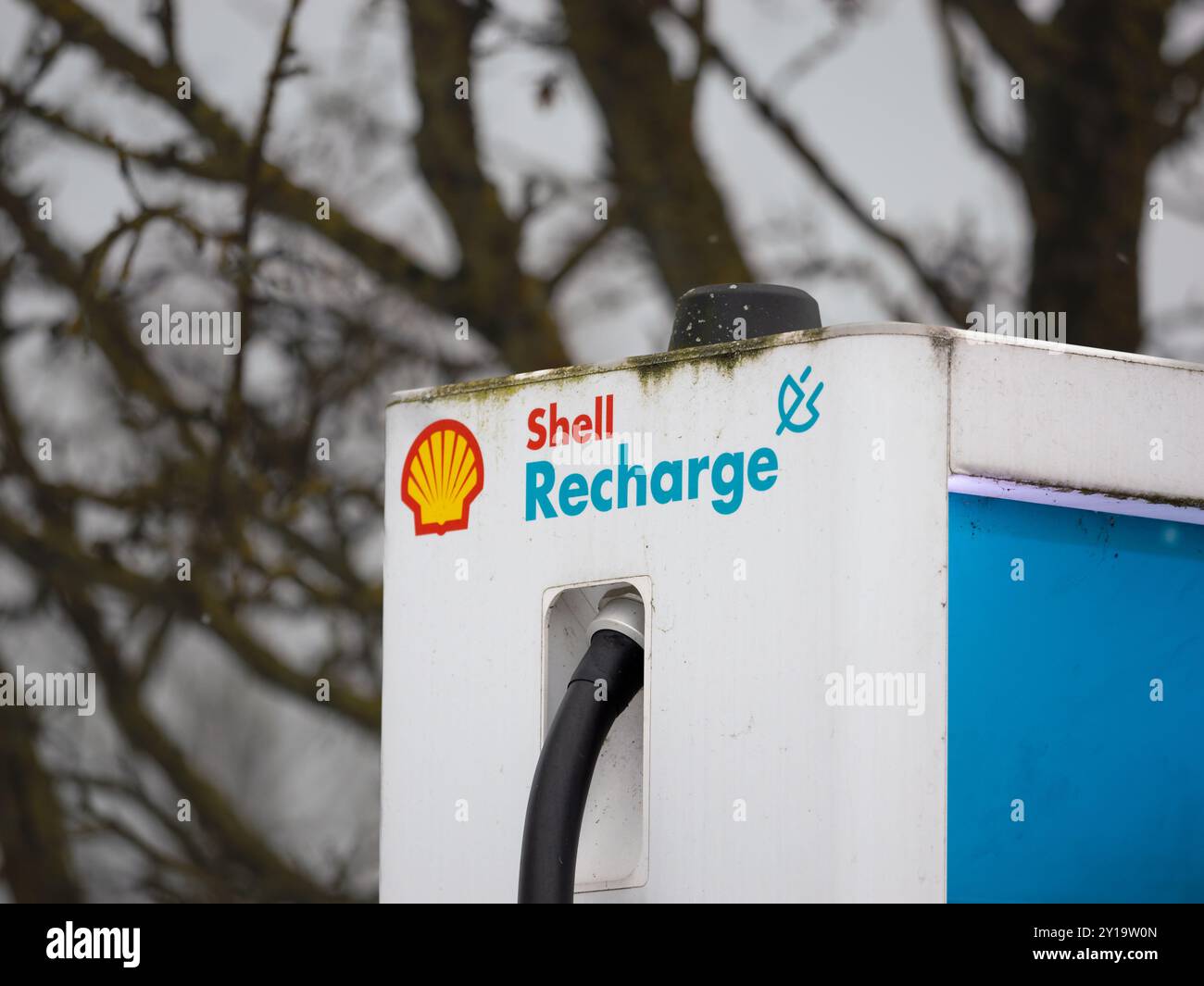 Shell Recharge logo sign on an electric car charging point. Brand of ...