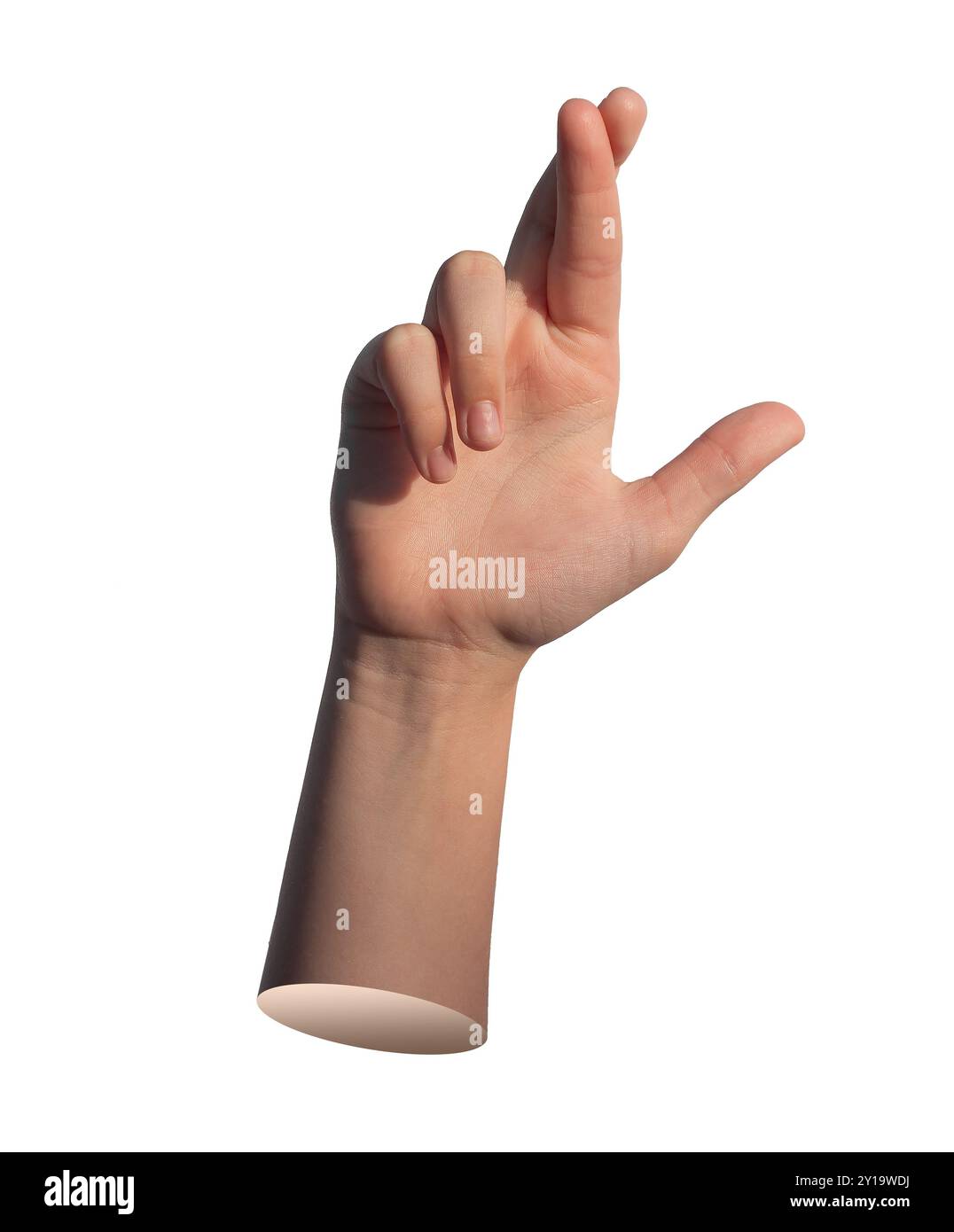 Fingers crossing, liar gesture, sign. Isolated on white background ...