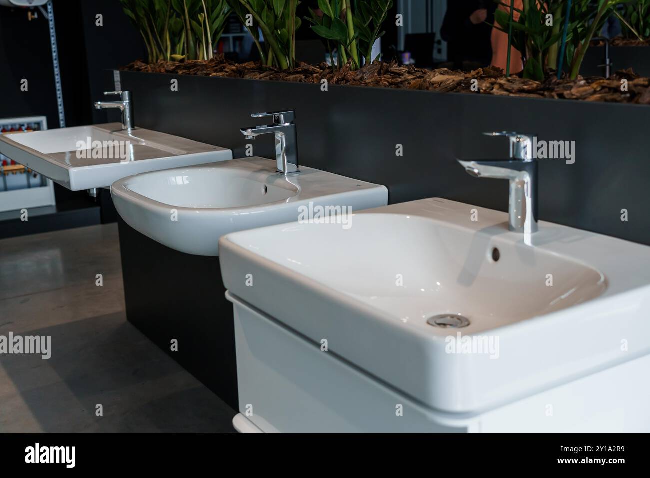 Modern Bathroom Sink Display with Elegant Plants for a Stylish Interior ...