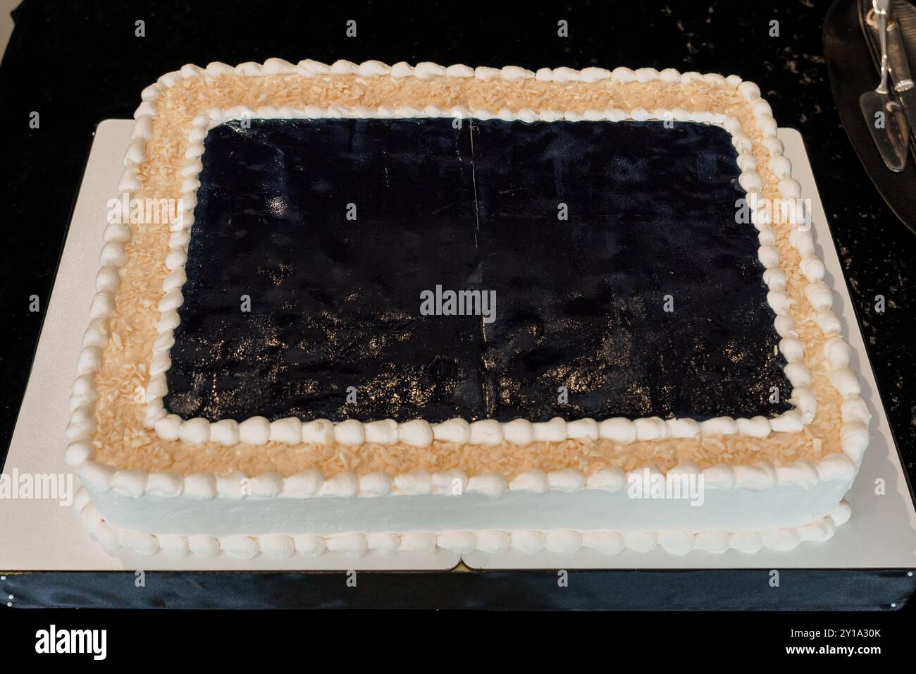 Elegant Rectangular Frosted Cake with Black Mirror Glaze and Coconut ...