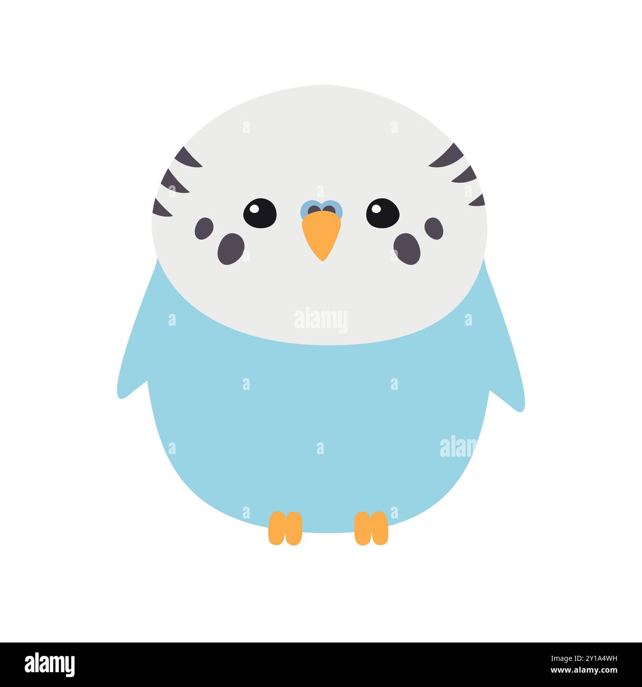 Pet parrot cute budgerigar Stock Vector Images - Alamy