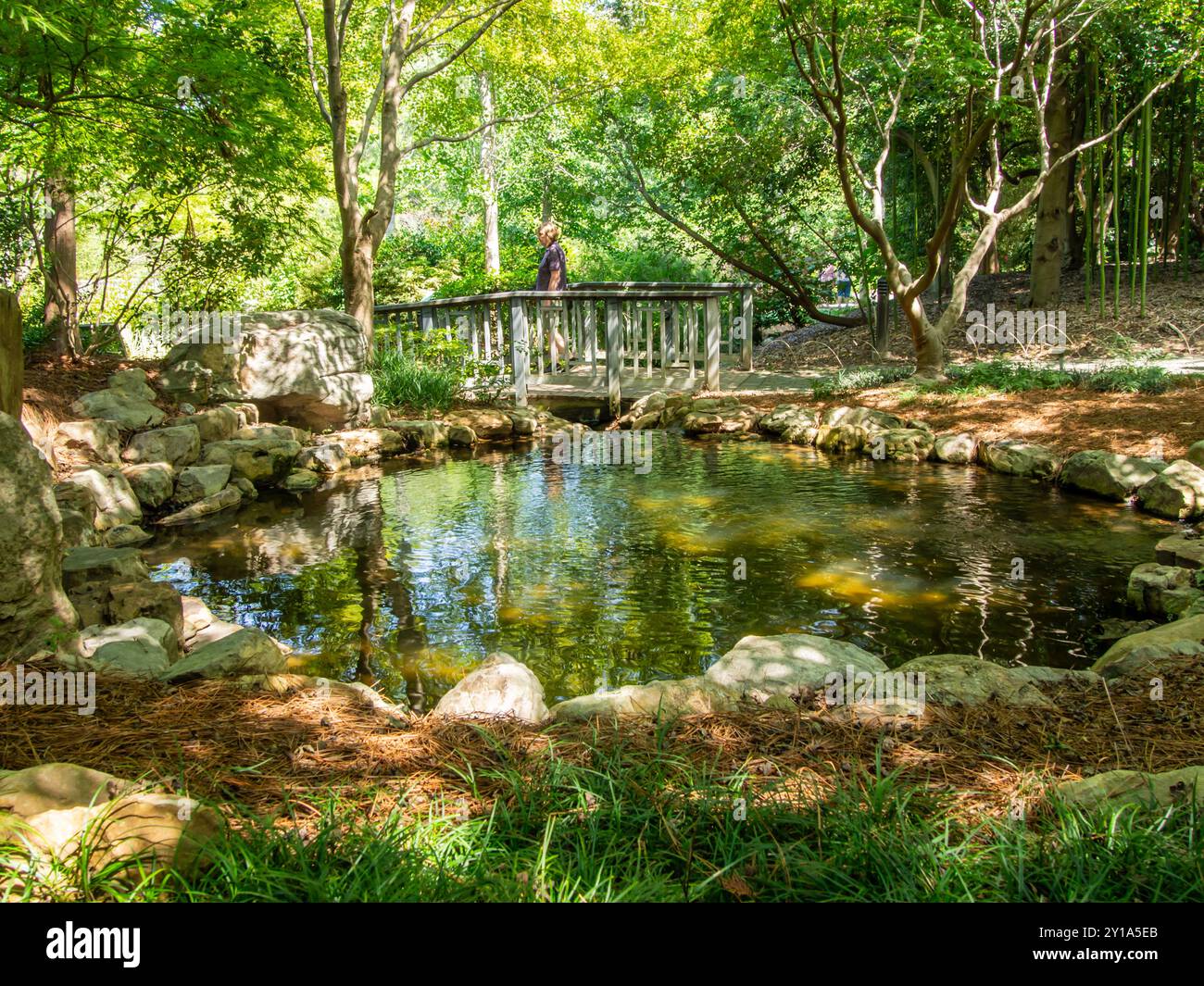 Natural bridge virginia usa hi-res stock photography and images - Alamy