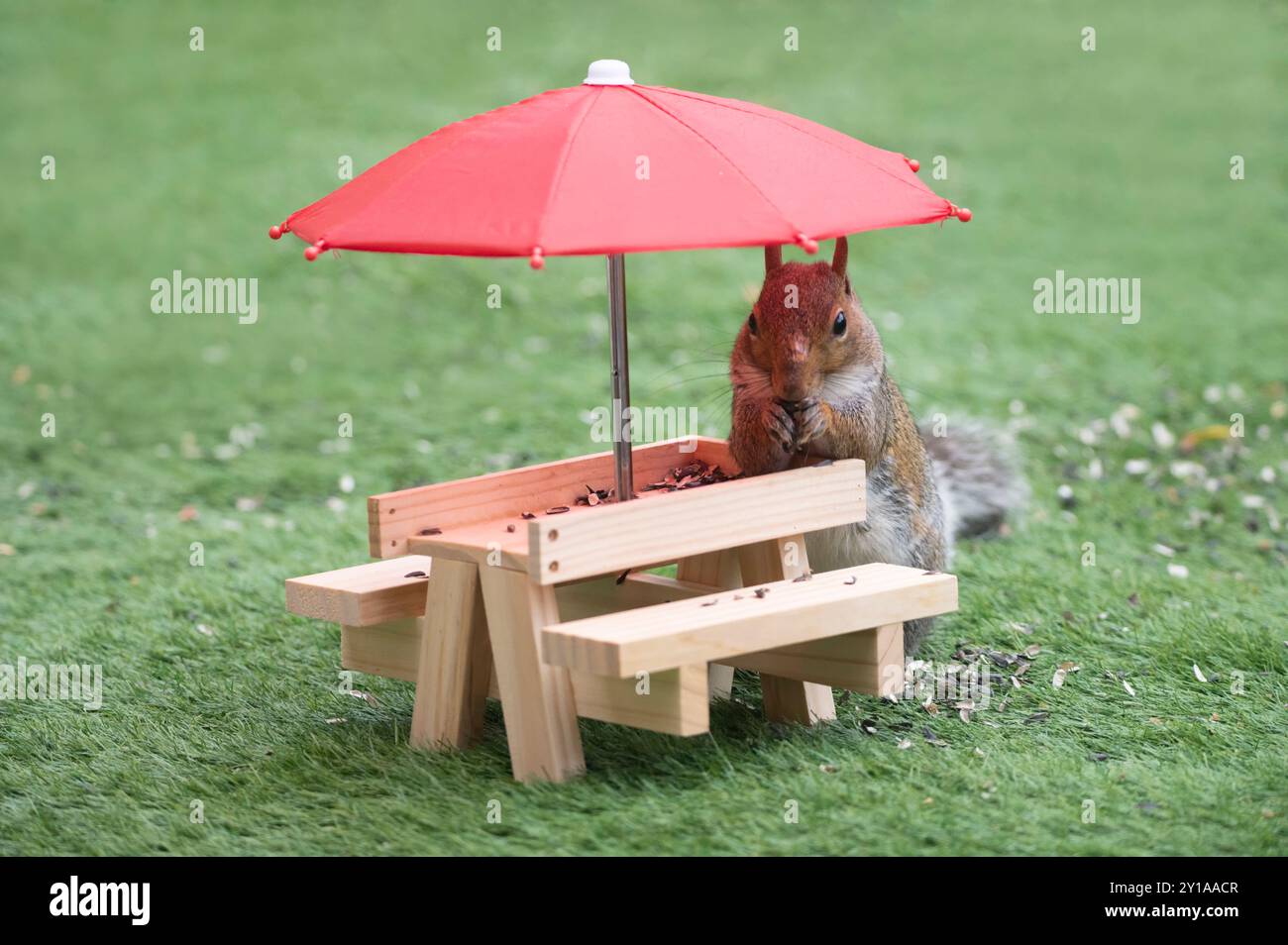 Small picnic table hi-res stock photography and images - Alamy